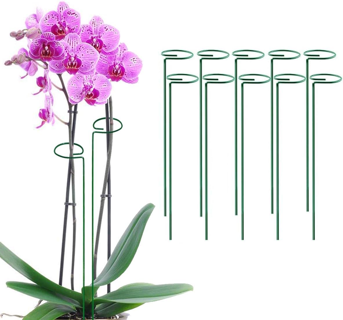 Amazon.com : Green 24 inch Single Stem Plant Stakes Flower Support ...