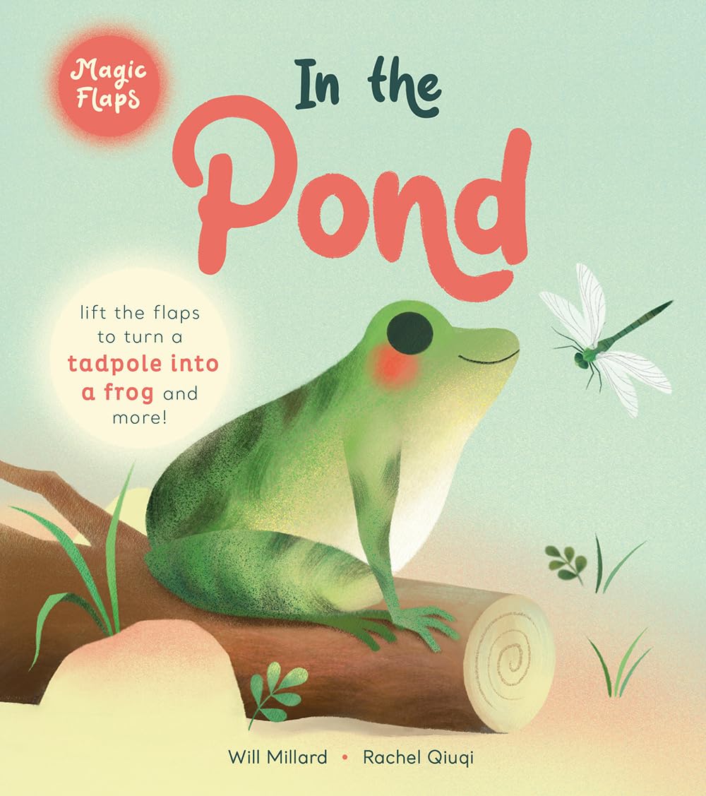 In the Pond: A Magic Flaps Book: Millard, Will, Qiuqi, Rachel ...