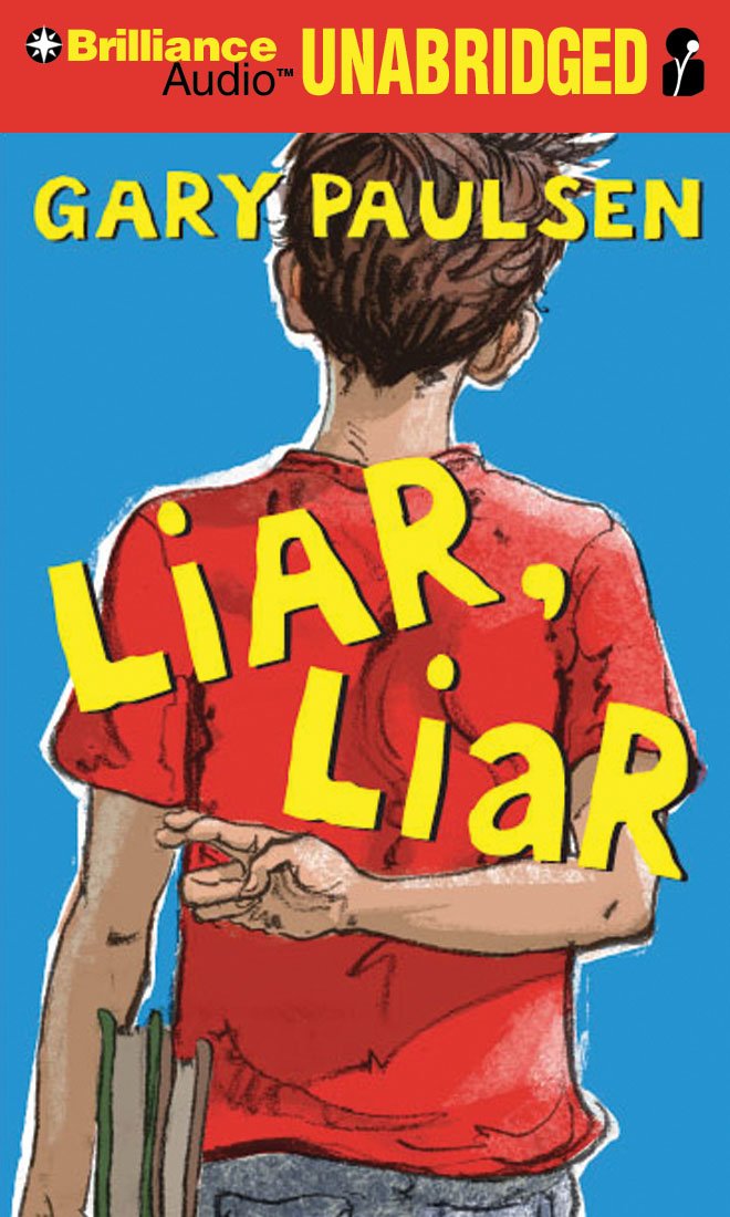 Amazon.com: Liar, Liar: The Theory, Practice and Destructive Properties ...