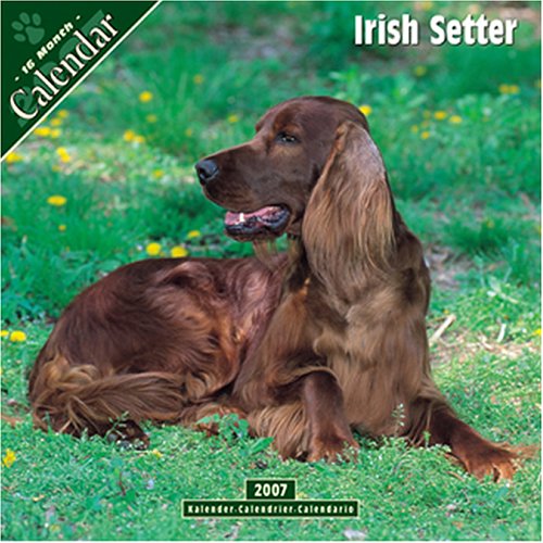 Irish Setter 2007 Wall Calendar: 9781846620607: Amazon.com: Books