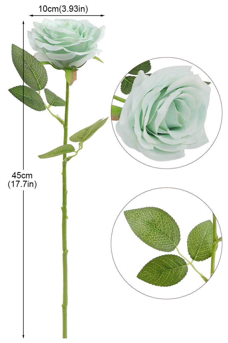 Single Green Rose Flower