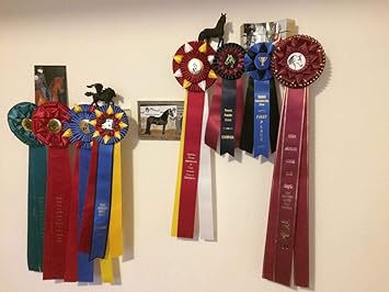 Amazon.com: Invisible Award Ribbon Shelf : Office Products