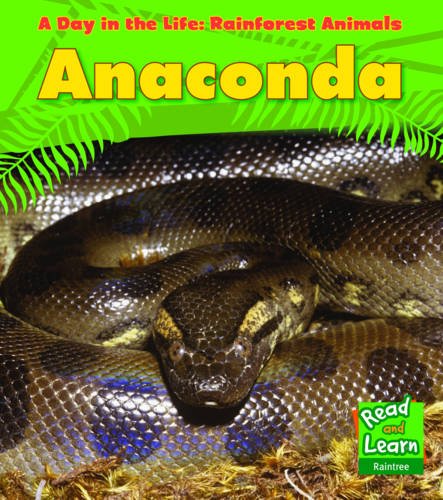 Rainforest Animals: Pack a: Anita Ganeri: 9781406217896: Amazon.com: Books