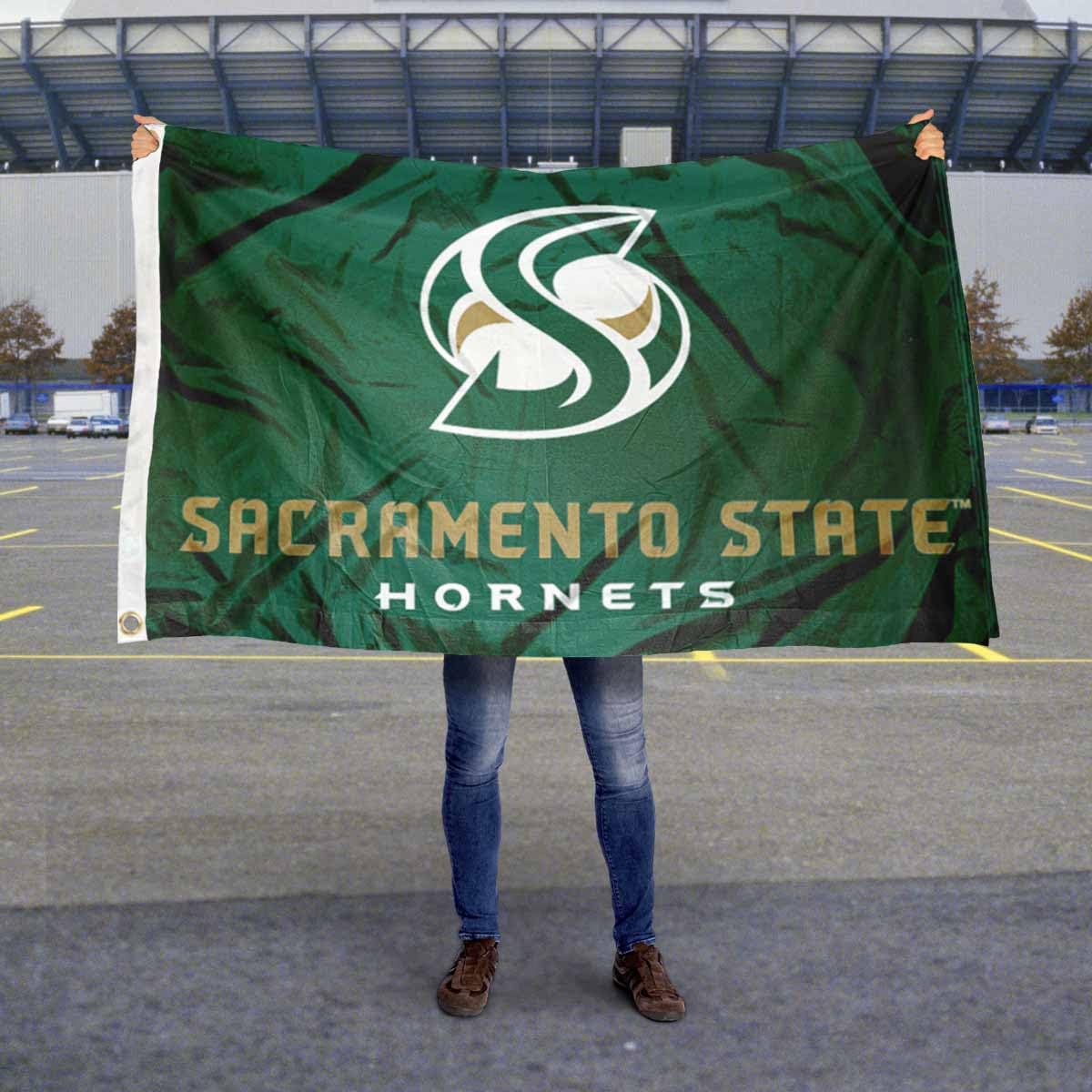 Sacramento State College Logo