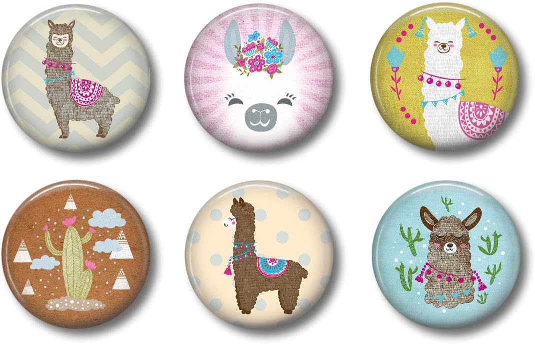 Amazon.com: Cute Locker Magnets for Teens - Llama Magnets - Fun School ...