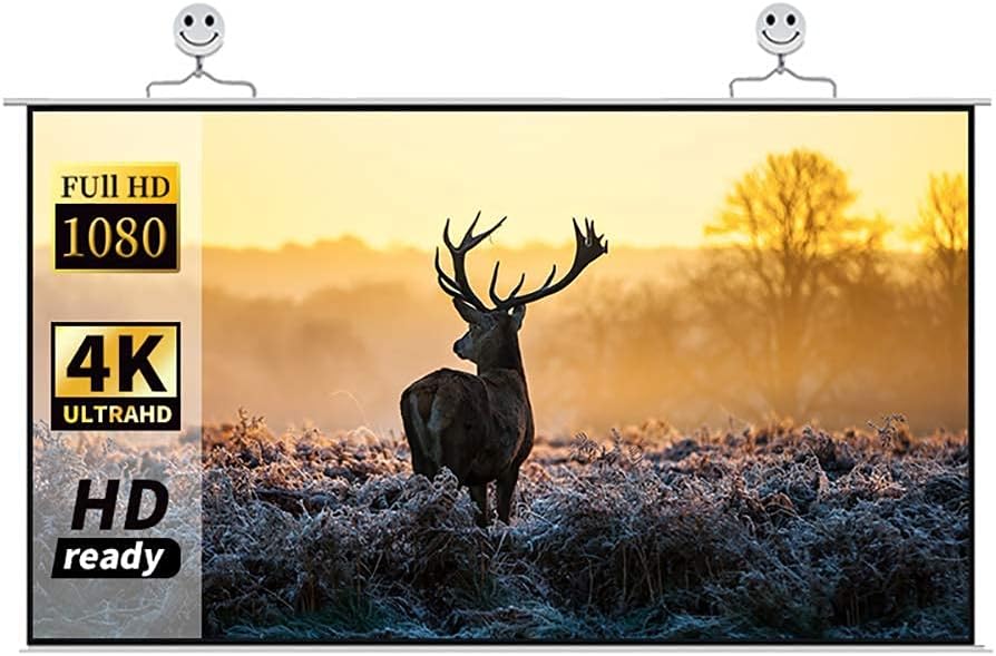 Amazon.com: Projector Screen, Manual Pull Up Projection Screen ...