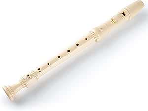 Amazon.com: Sondery Soprano Recorder Instrument German Fingering ...