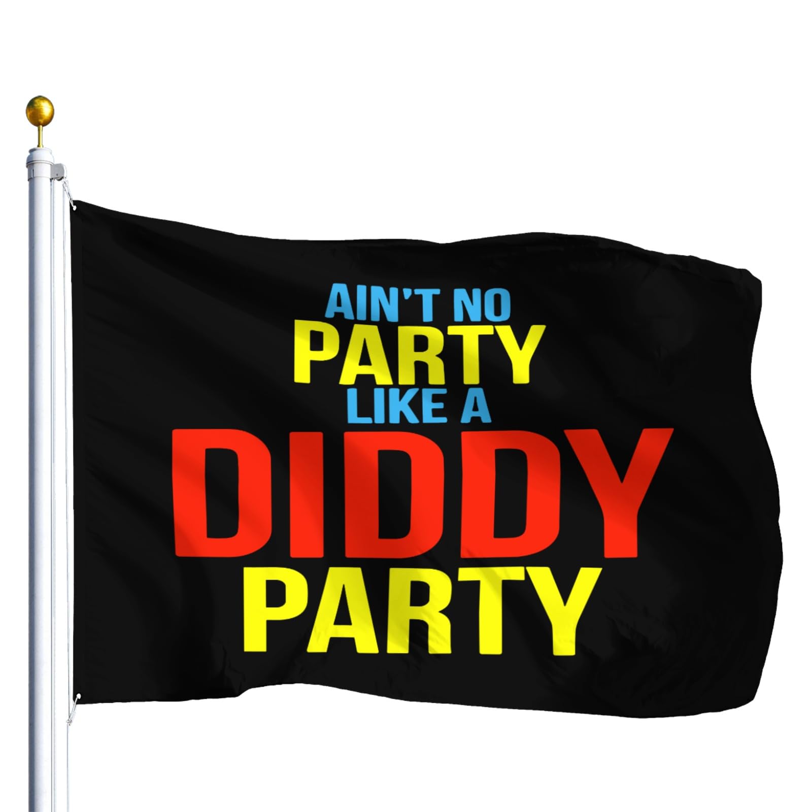 Amazon.com : Funny Flags Flag Ain't No Partys Like A Diddy Partys Flags ...