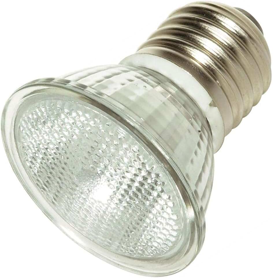 Amazon.com: Furnlite