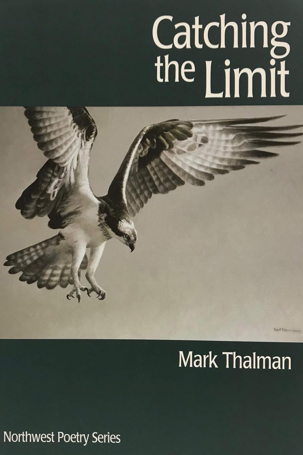 Catching the Limit: 9780982298206: Amazon.com: Books