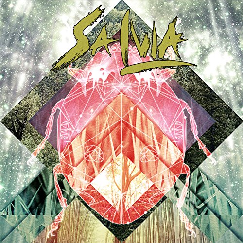 Amazon.com: Salvia : Salvia: Digital Music