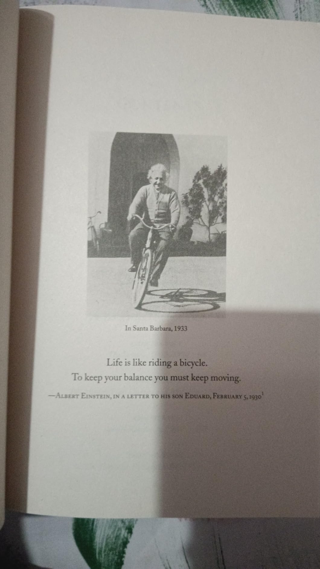 Einstein : HIS LIFE AND UNIVERSE : Isaacson, Walter: Amazon.in: Books