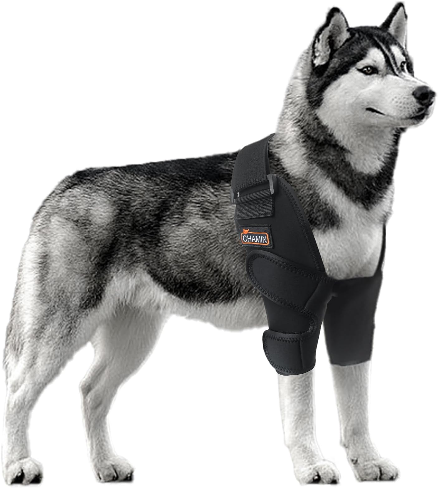 Amazon.com : KISFLY Dog Elbow Brace Protector Pads for Canine Elbow and ...