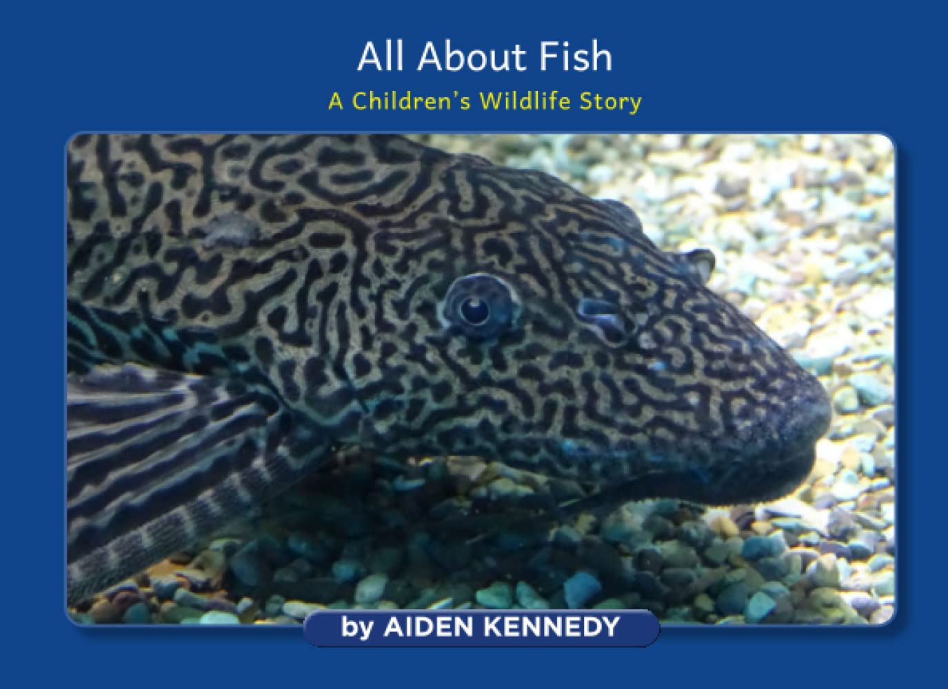 All About Fish: A Children's Wildlife Book: Kennedy, Aiden, Wild ...