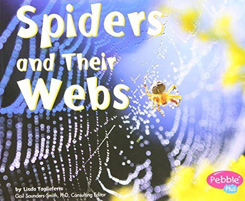 Spiders and Their Webs (Animal Homes) by Linda Tagliaferro (2004-01-01 ...
