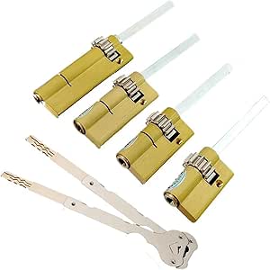 Special Lock Core for Automatic Fingerprint Lock Cylinder with Gear C ...