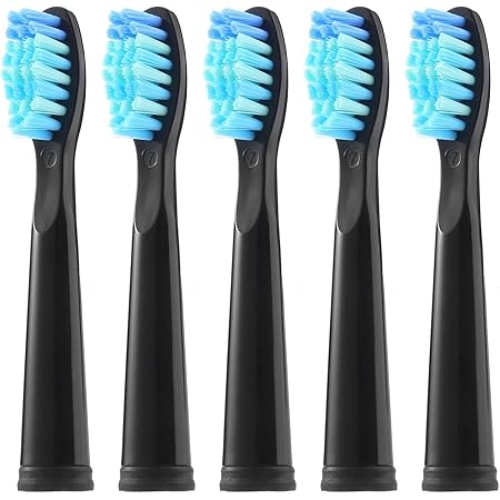 Amazon.com : Electric Toothbrush Replacement Head for Fairywill ...