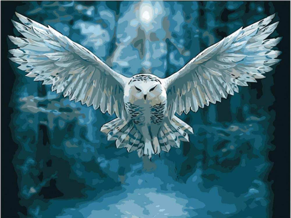 Owl Wings Spread