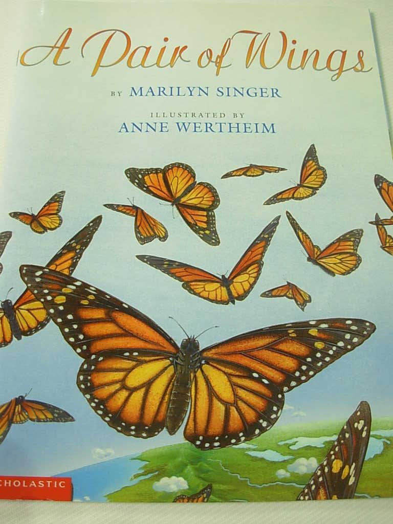 A pair of wings: Singer, Marilyn: 9780439390873: Amazon.com: Books
