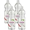 Rubicon Spring 12 Pack Black Cherry Raspberry, Sparkling Spring Water ...