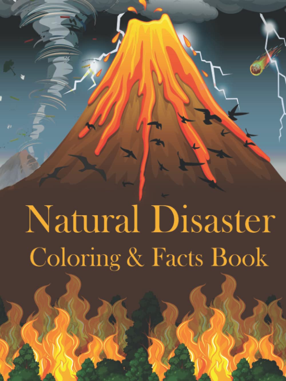 Natural Disasters Coloring & Facts Book: Tsunami, Hurricane, Tornado ...
