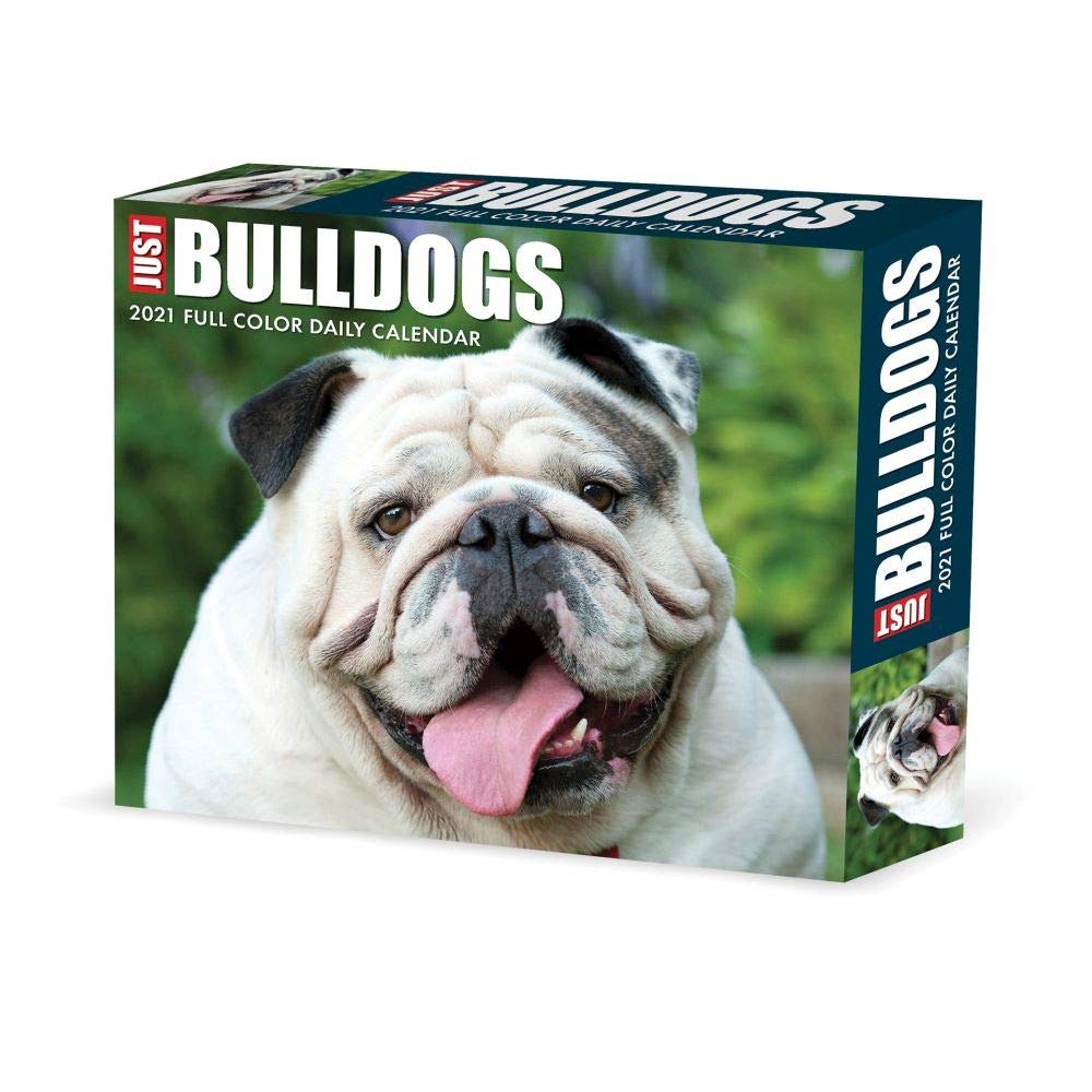 Just Bulldogs 2021 Box Calendar (Dog Breed Calendar): Willow Creek ...