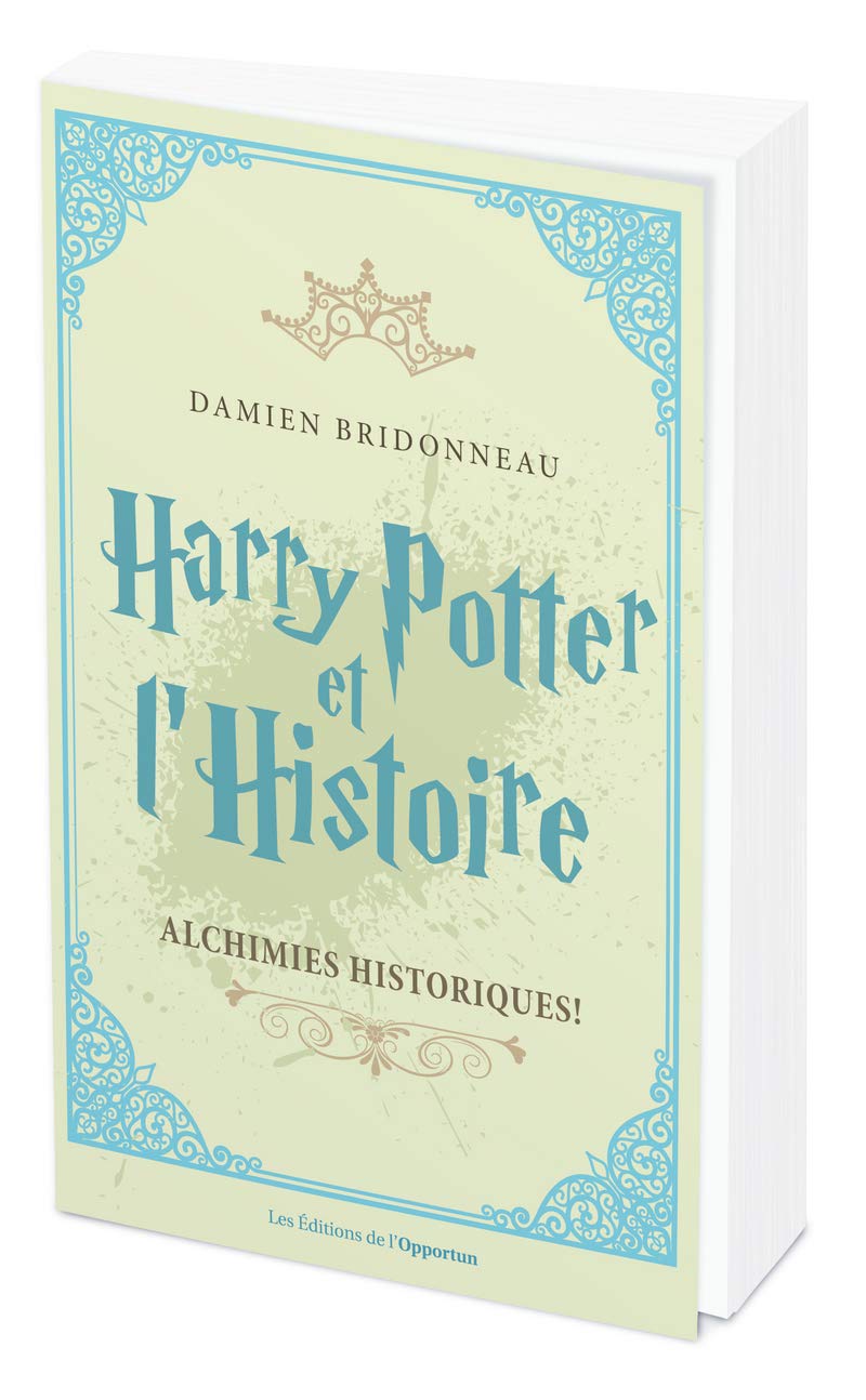Harry Potter et l'Histoire: Bridonneau, Damien: 9782380152630: Amazon ...
