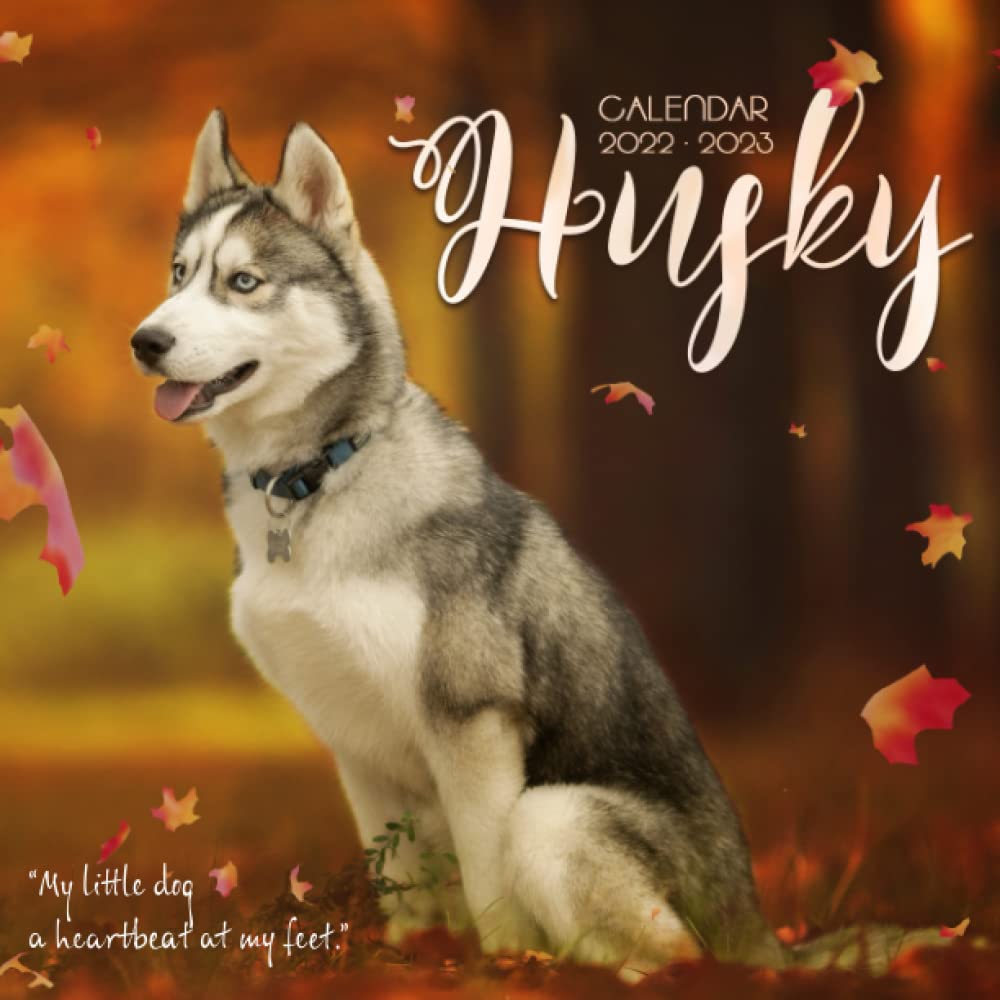 Buy Husky 2022: Husky 2022-2023 animals-animal wildlife July 2022 to ...