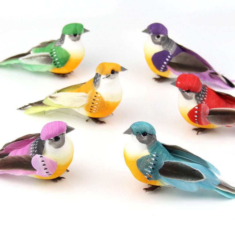 Small Cute Birds