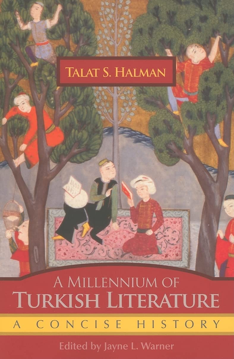 Amazon.com: A Millennium of Turkish Literature: A Concise History ...