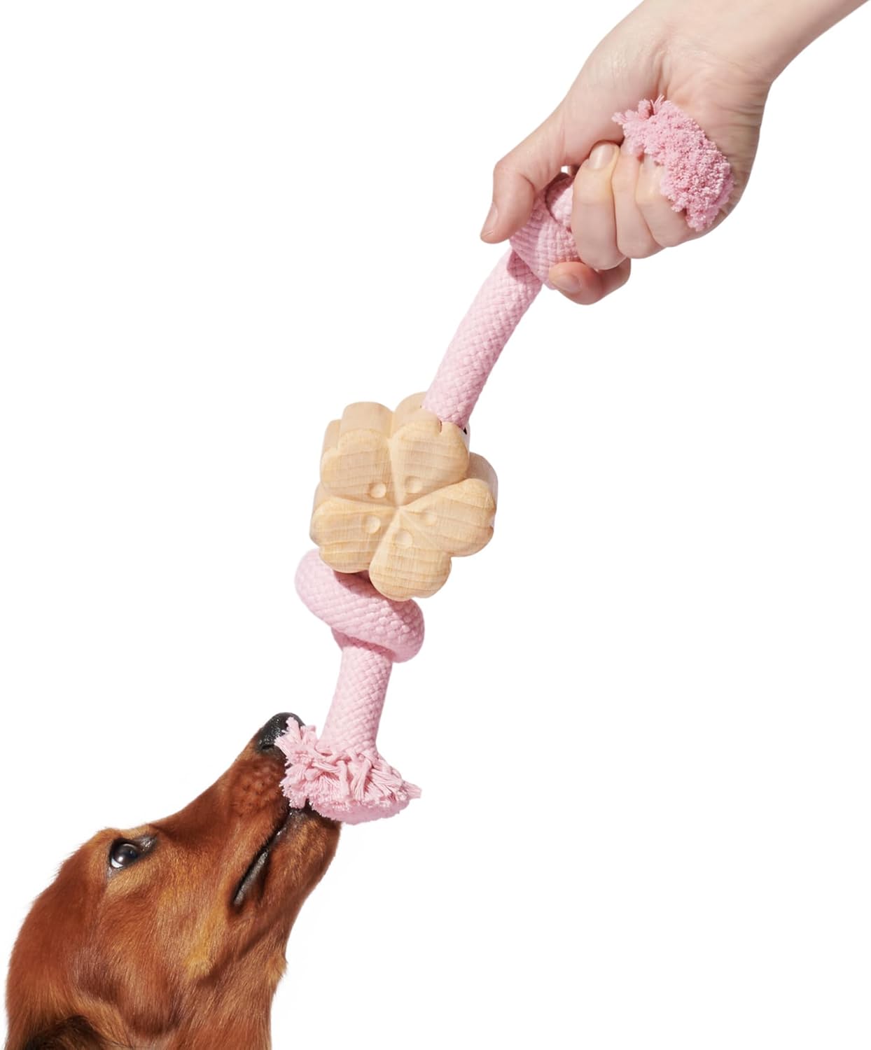 Amazon.com : VETRESKA Dog Rope Toys - Durable Tug of War Dog Toy with ...