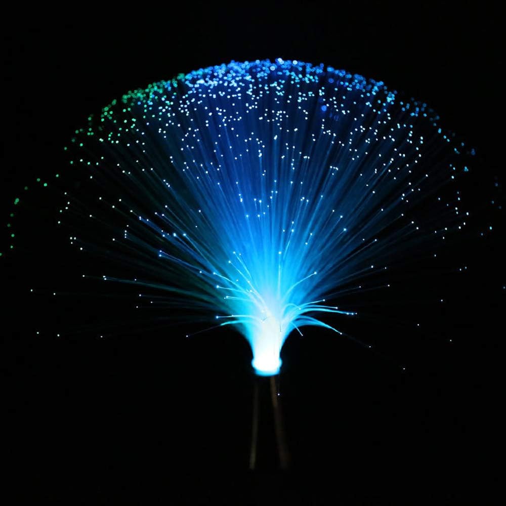 Rich Boxer LED Multicolor Changing Fiber Light Colourful Changing Fibre ...