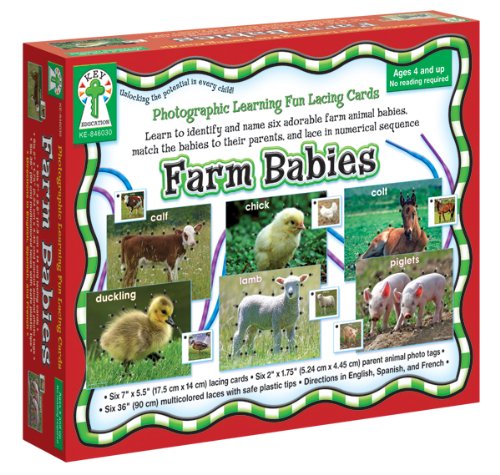 Amazon.com: Farm Babies Lacing Cards: Learn to identify and name six ...
