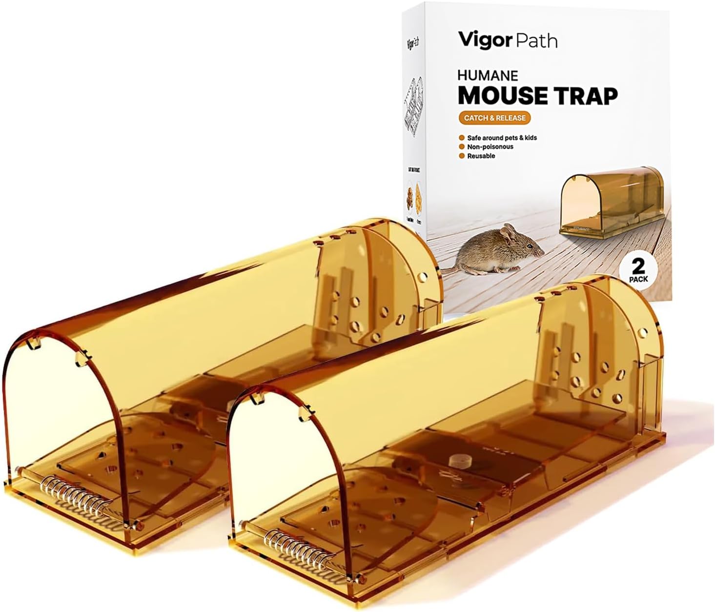 Amazon.com : 2-Pack Little Bucket Mouse Trap - Complete Kit : Patio ...