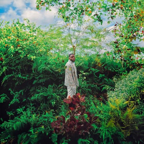 Amazon.com: The Greenhouse Project (Deluxe) : Mike Teezy: Digital Music