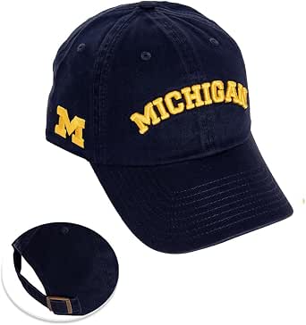 Amazon.com: Desert Cactus University of Michigan Baseball Hat ...