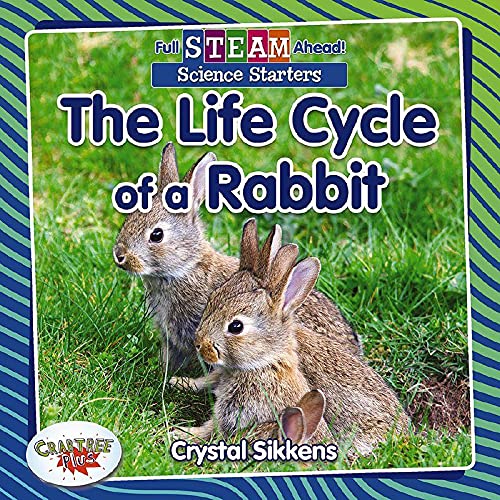 Amazon.com: The Life Cycle of a Rabbit (Full Steam Ahead!: Science ...