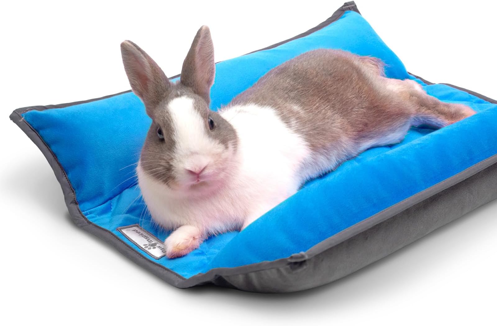 Amazon.com : Paw Inspired Snuggle Bunny Bed for Rabbits and Other Small ...