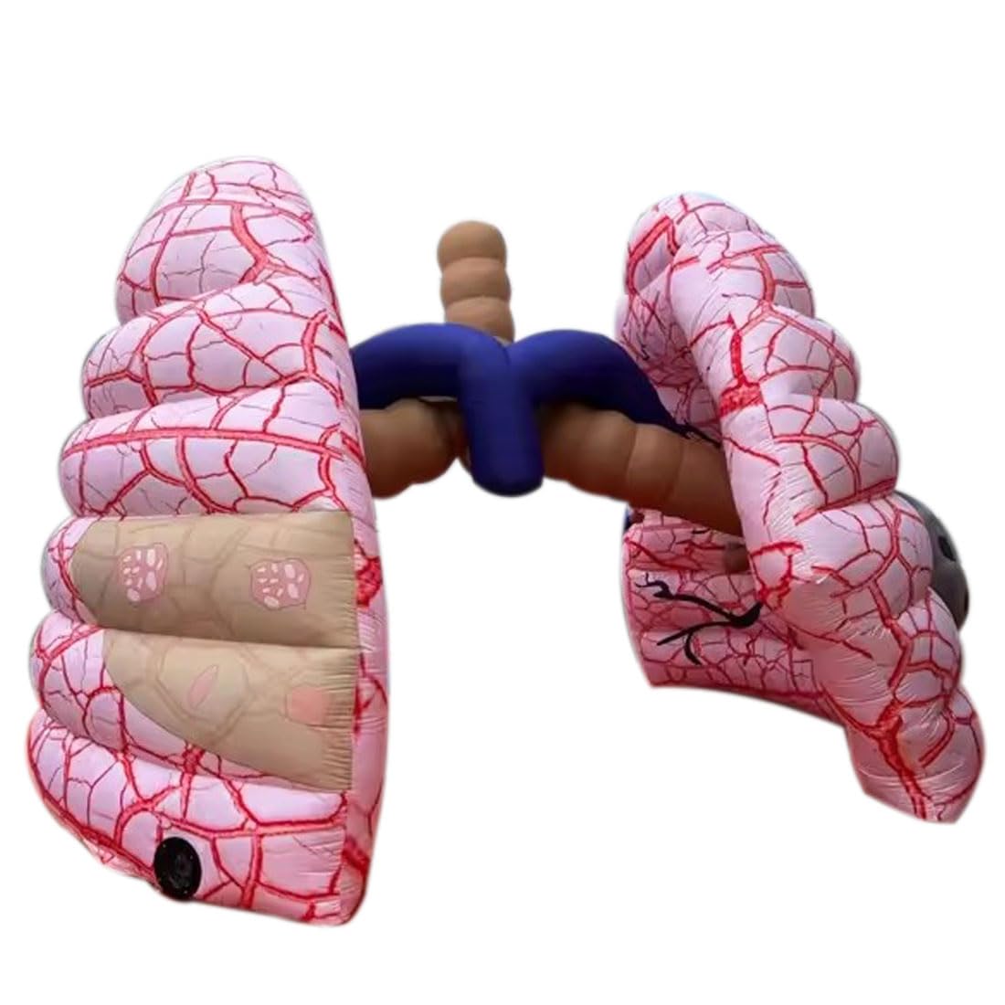 Snapklik.com : Giant Inflatable Lung Medical Exhibits Advertising Large ...
