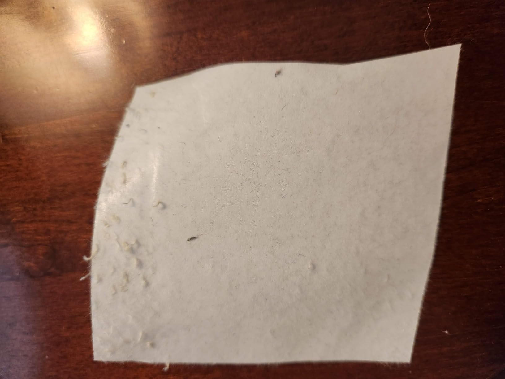 Amazon.com : Cat Scratch Tape, Scratch Furniture Protector, 4 inches x ...