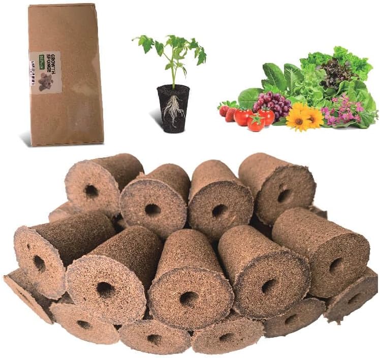 Amazon.com: CfanieRise 80 Pack Grow Sponges for Hydroponics,Replacement ...