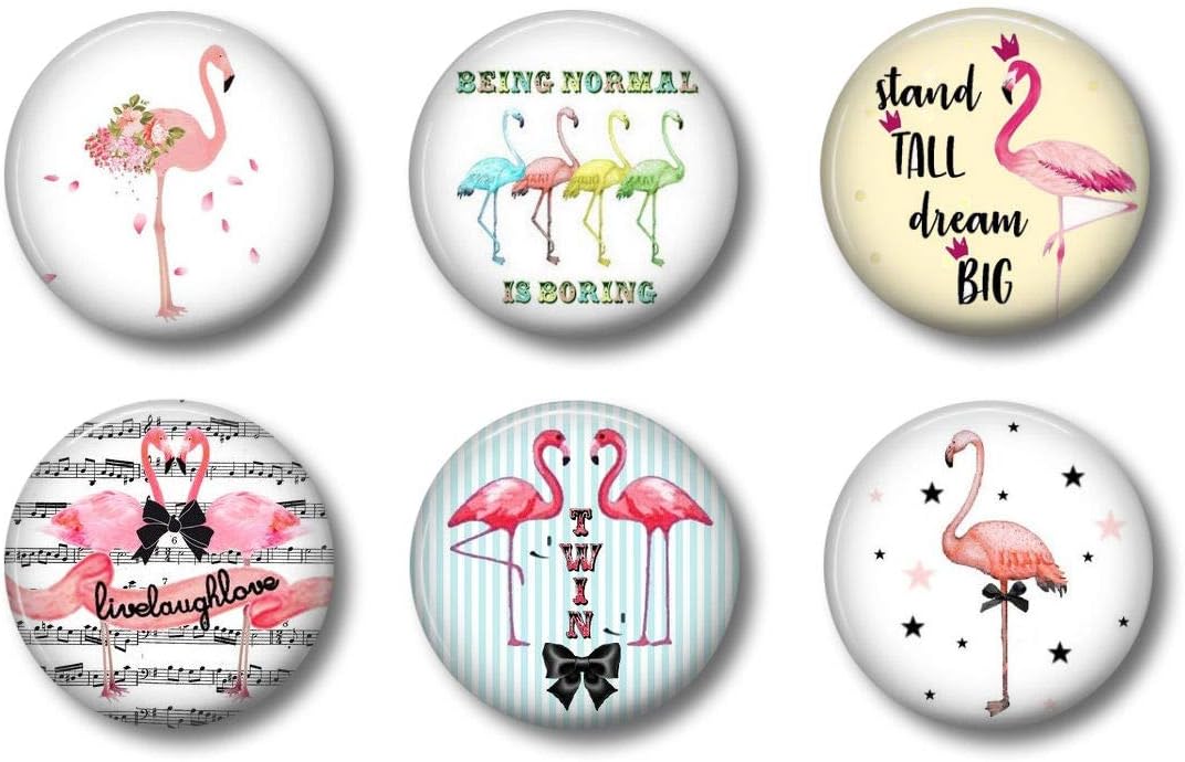 Amazon.com: Cute Locker Magnets for Teens - Pink Flamingo Magnets - Fun ...