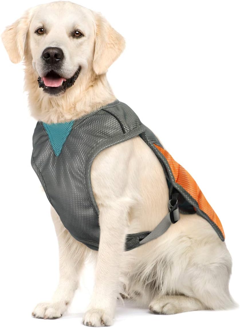 Lautus Pets XL Dog Cooling Vest - Lightweight Dog Cooling Jacket for ...
