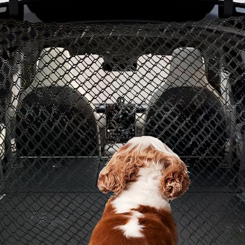 Divisorio Auto Per Cani – I 15 migliori prodotti a confronto - Mondo ...