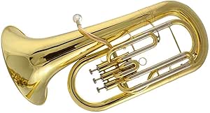 Amazon.com: Euphonium Instrument Brass Lacquered Gold Euphonium B Flat ...
