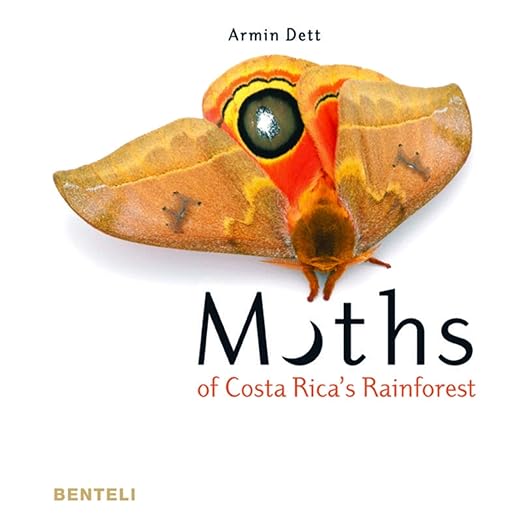Amazon.com: Moths of Costa Rica's Rainforest: 9783716518403: Dett ...