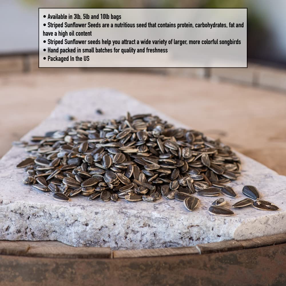 Large Striped Sunflower Seeds