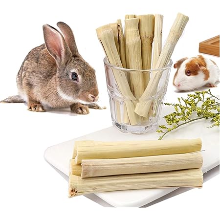 Amazon.com : Bunny Blast Yucca Chew Toy : Pet Chew Toys : Pet Supplies
