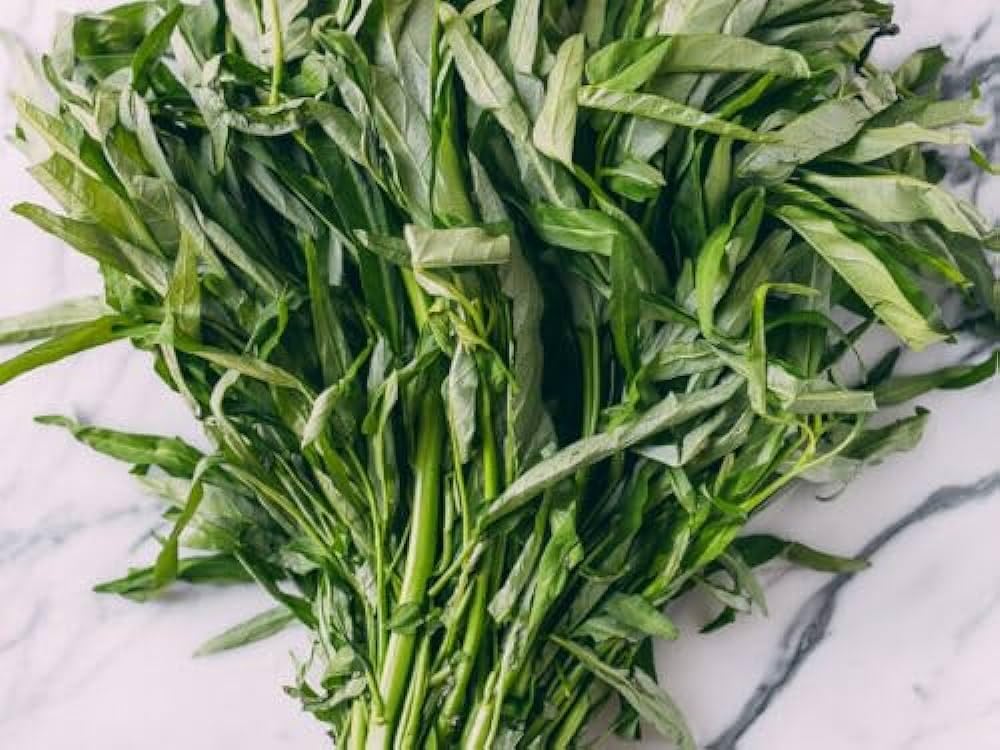 Indian Kalmi Shak Seeds Pack of 187 : Amazon.in: Garden & Outdoors