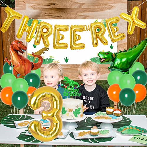 Buy Dinosaur 3rd Birthday Decorations Three Rex Birthday Party ...